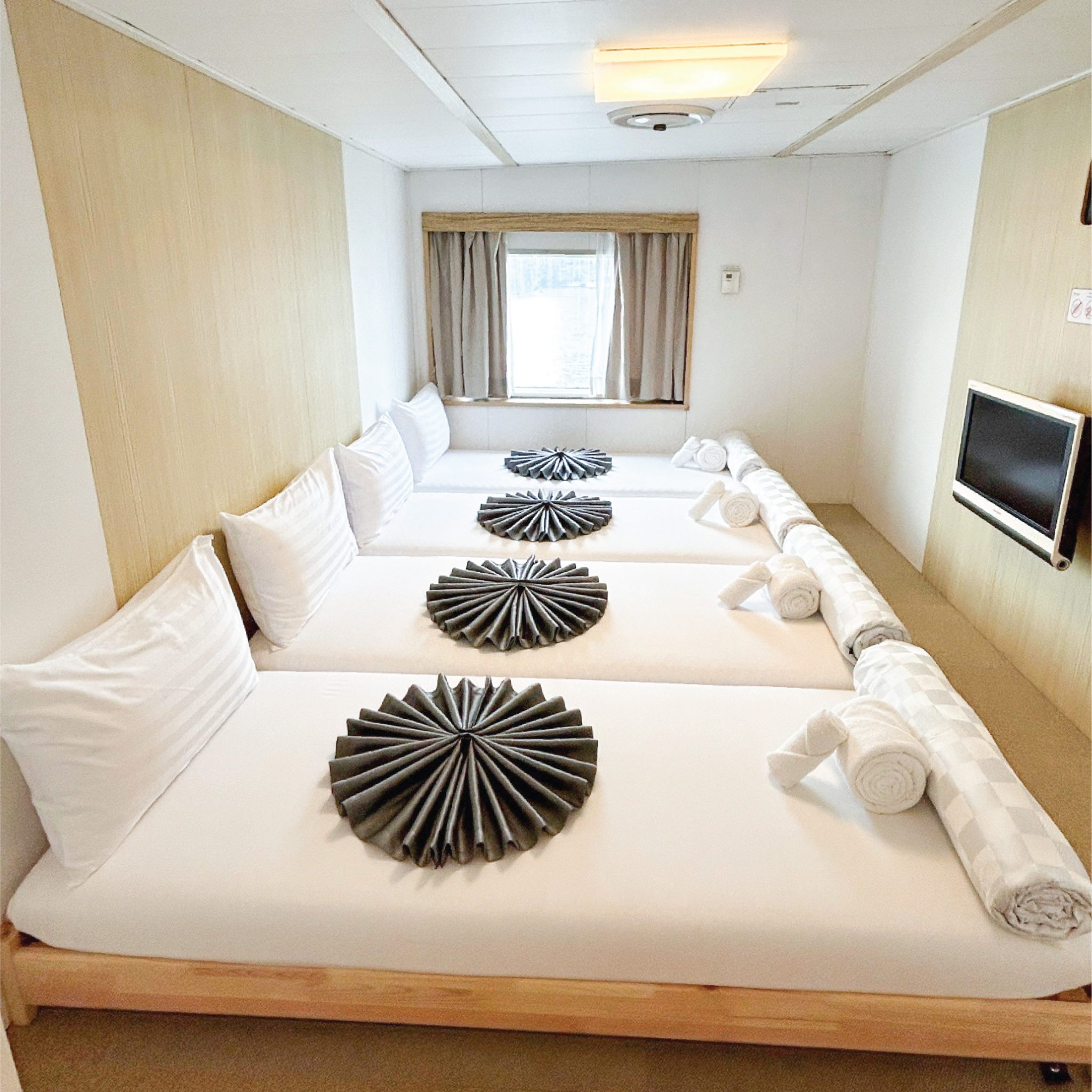 Room – Seahorse Ferry