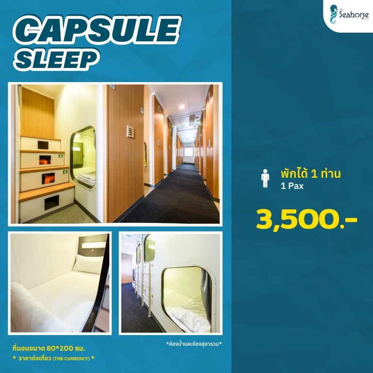 Capsule – Seahorse Ferry