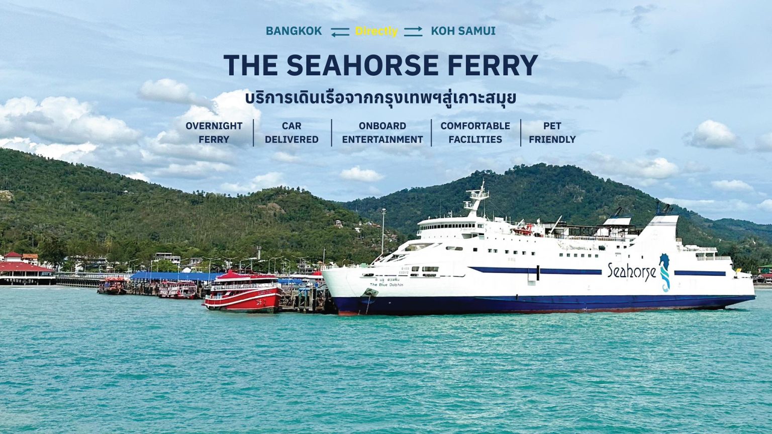 The Seahorse Ferry – isn't just transportation, it's an experience.