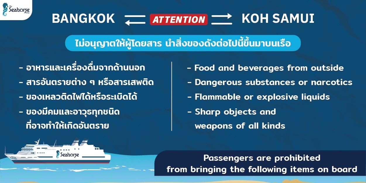 The Seahorse Ferry – isn't just transportation, it's an experience.